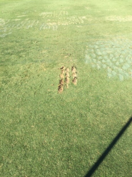 TEE-TO-GREEN FITTING & GOLF FITNESS EVALUATION - Club Fitting - Team ...